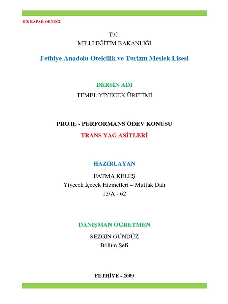 Odev Dis Kapak Ornegi | PDF
