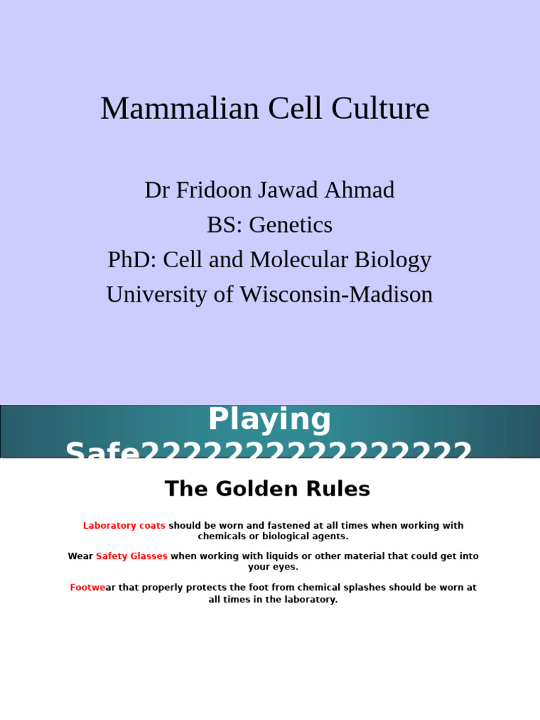 Mammalian Cell Culture Safety & Techniques | PDF | Mitosis | Cell Culture