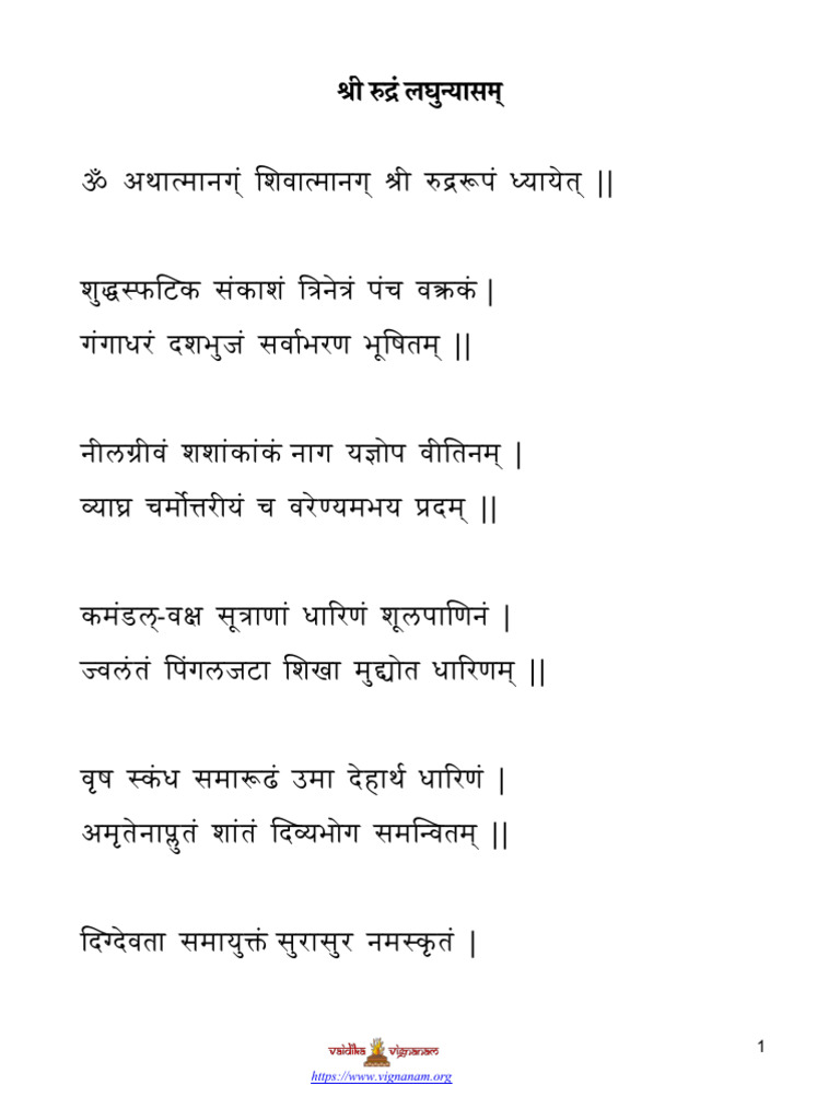 Sri Rudram Laghunyasam Hindi | PDF