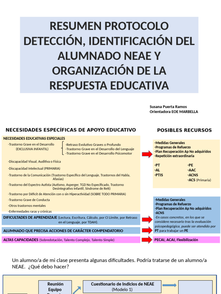 Resumen Protocolo Neae EOE Marbella | PDF | Autismo | Desorden hiperactivo y deficit de atencion