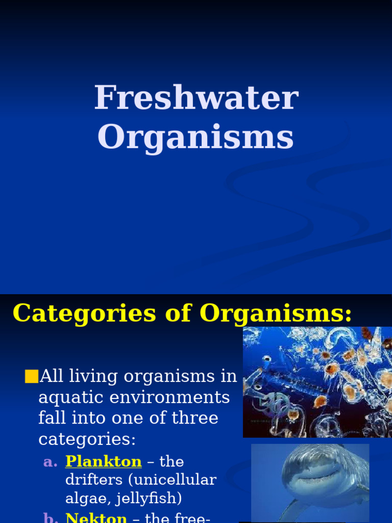 Freshwater Organisms Notes 2023 | PDF | Amphibian | Fish