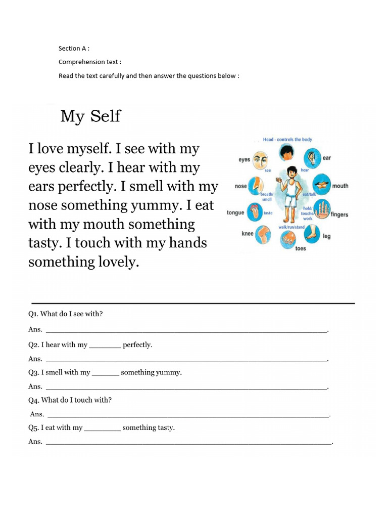 Grade 1 Revision Sheet | PDF