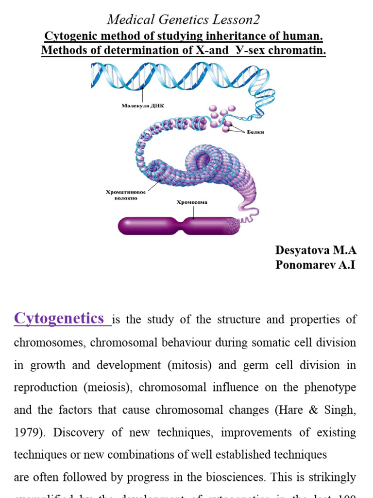 Lesson 3 Cytological Method Medical Genetics Desyatova | PDF ...
