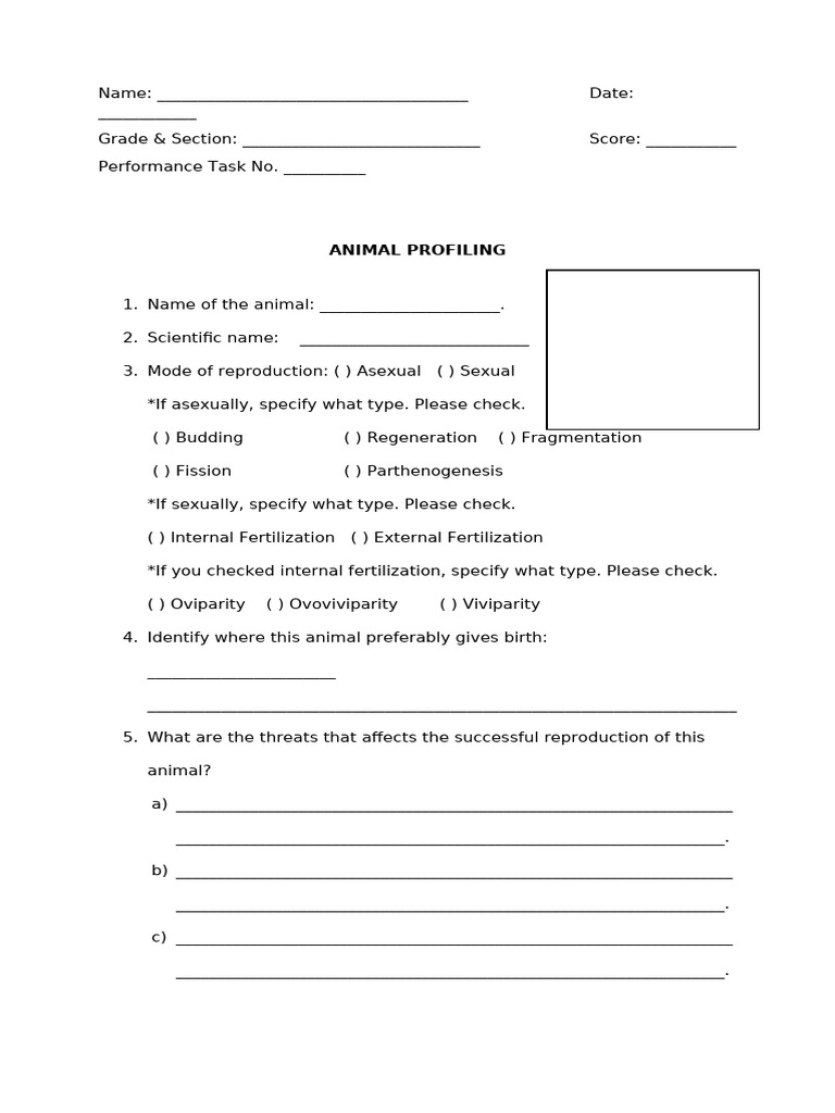 Animal Profiling | PDF