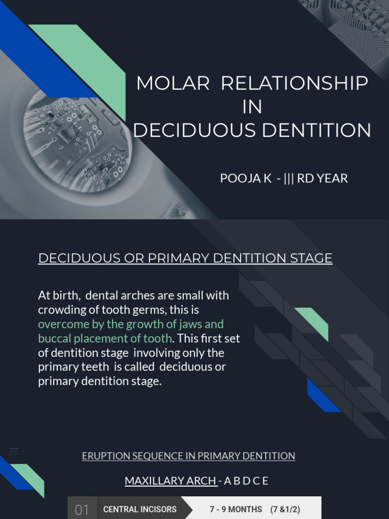 Molar Relation in Deciduous Teeth | PDF | Dental Anatomy | Dentistry ...