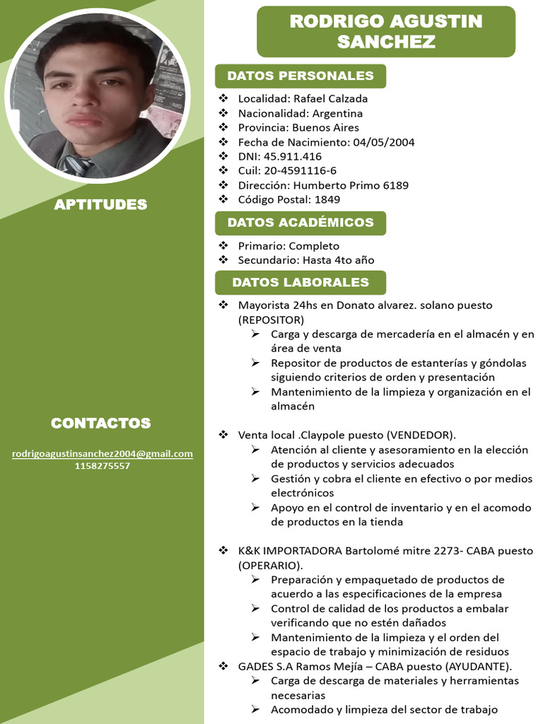 cv rodri | PDF | Business