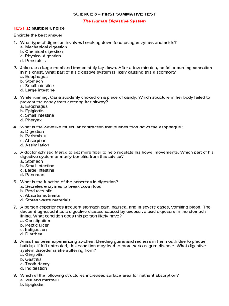 SUMMATIVE TEST - The Human Digestive Sysytem | PDF | Human Digestive ...