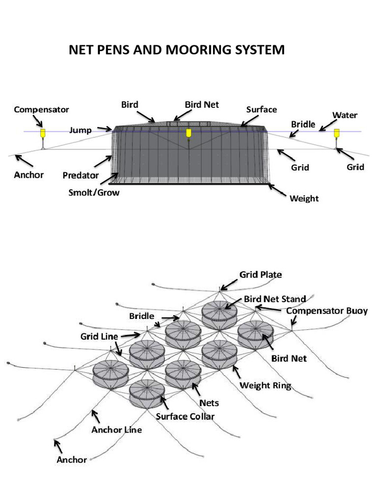 Net Pens and Mooring System | PDF