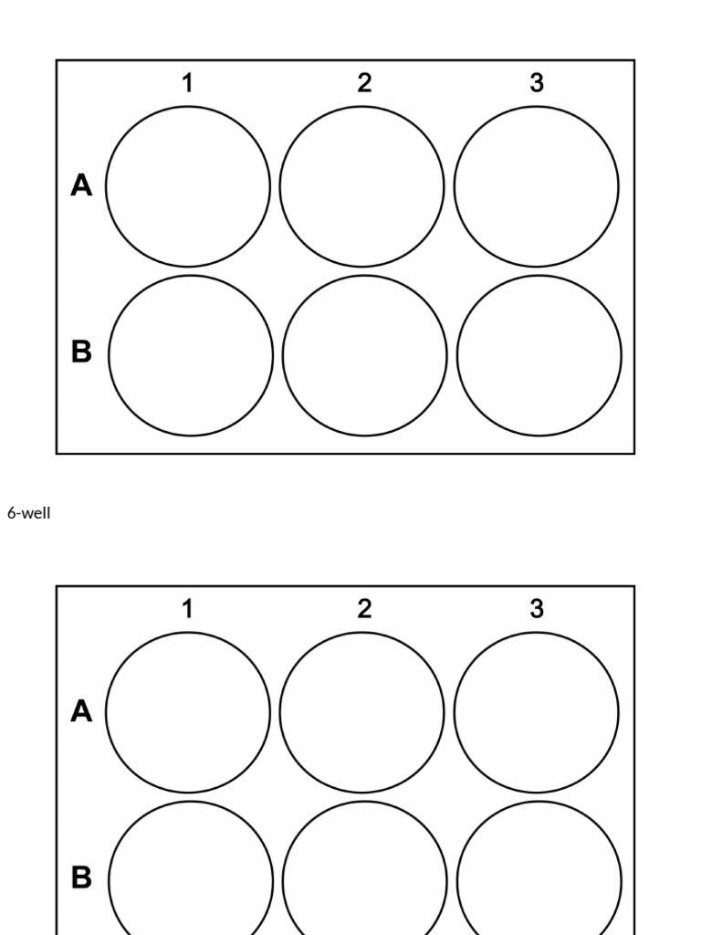 Well Plate Template | PDF