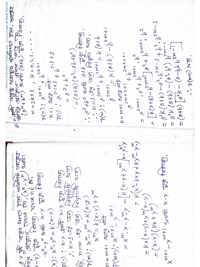 Document 19 | PDF
