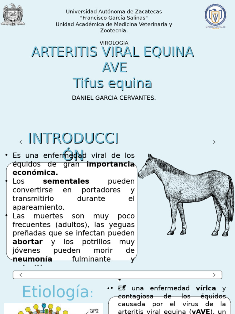 3 Arteritis Viral Equina | PDF | Virus | Inflamación
