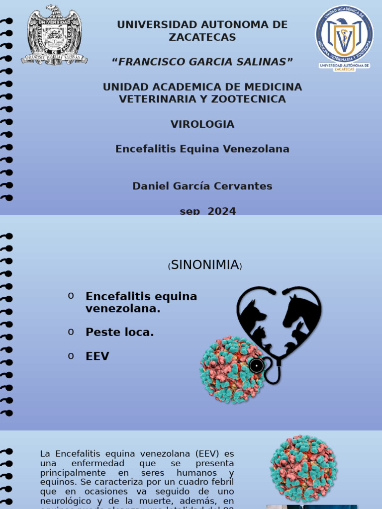 Encefalitis Equina Venezolana: Información Clave | PDF | Virus ...