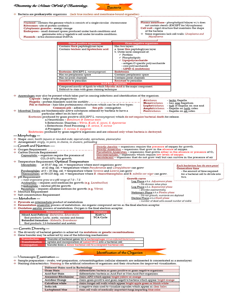 bacte_short_summary_for_my_studs_240919_152838 | PDF | Bacteria | Staining