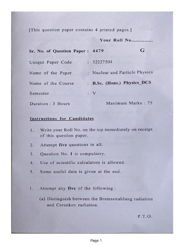 Nuclear & Particle PHYSICS Pyq 2024 Set 1 | PDF