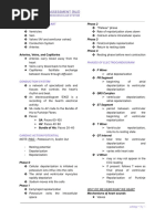 Cardiovascular Assessment Documentation Guide | PDF