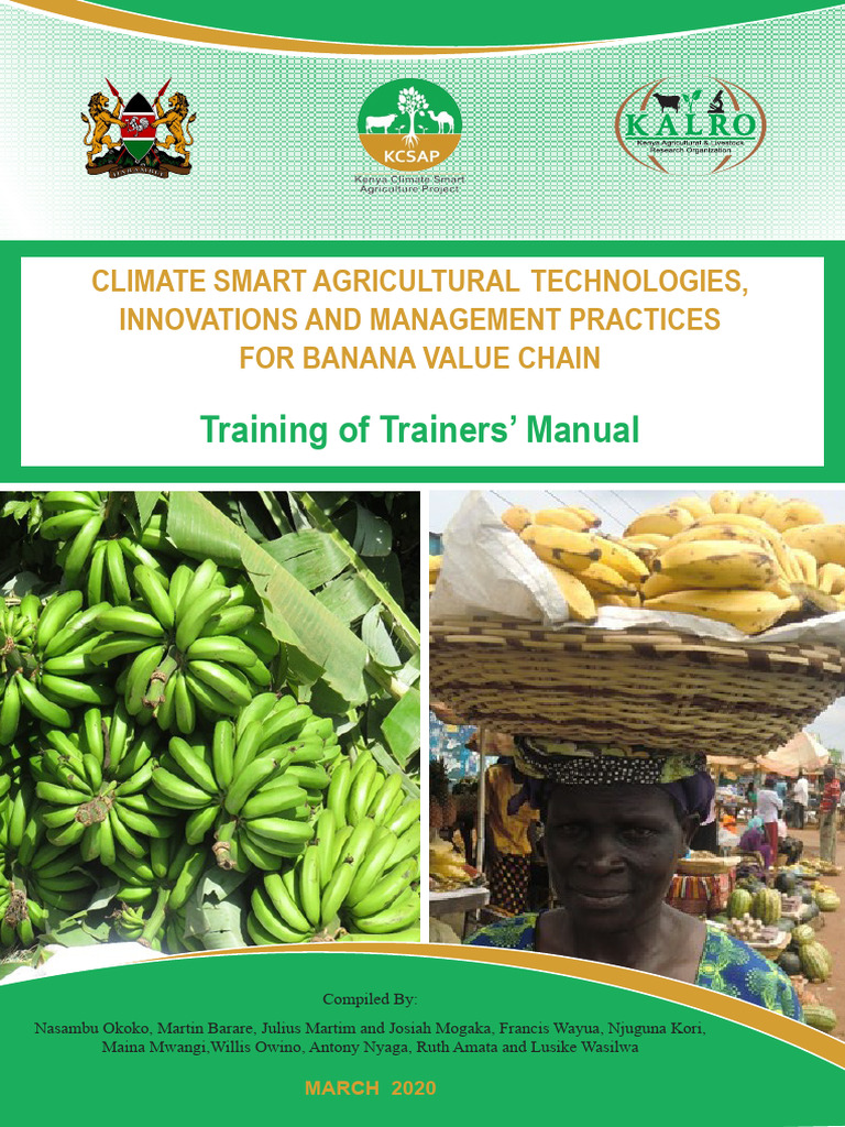 Training Manual for Banana Value Chain | PDF | Agriculture