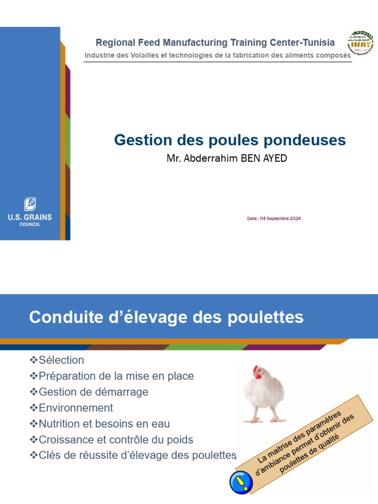 gestion poules pondeuses sept 2024 | PDF | Poulet | Nourritures
