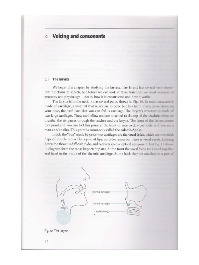 Chapter 3 - Reading Material | PDF