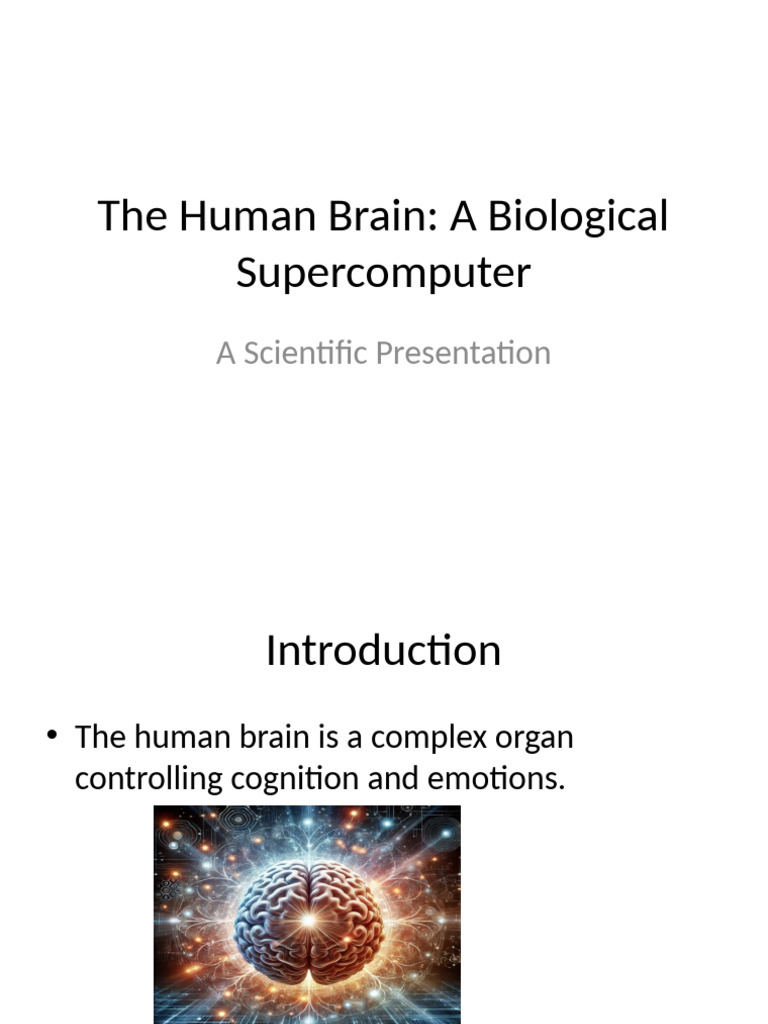 Understanding the Human Brain's Functions | PDF