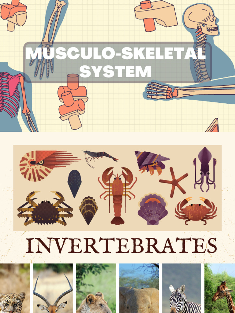 Lesson 2: Muscles and Skeleton (Plants and Animals) | PDF | Skeleton ...