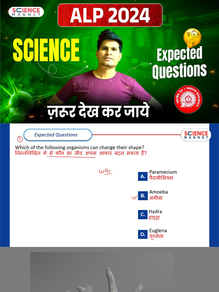ALP Science EXPECTED QUESTIONS (EXPECTED QUESTIONS) Expect | PDF