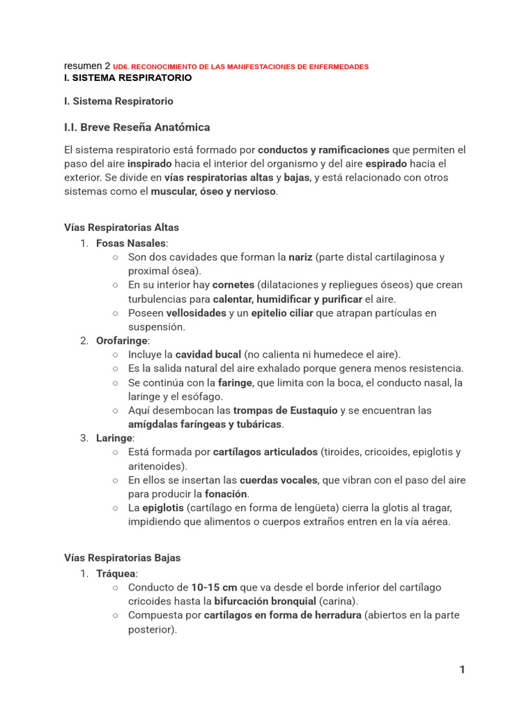 Resumen (Detallado) UD6 | PDF | Pulmón | Sistema respiratorio