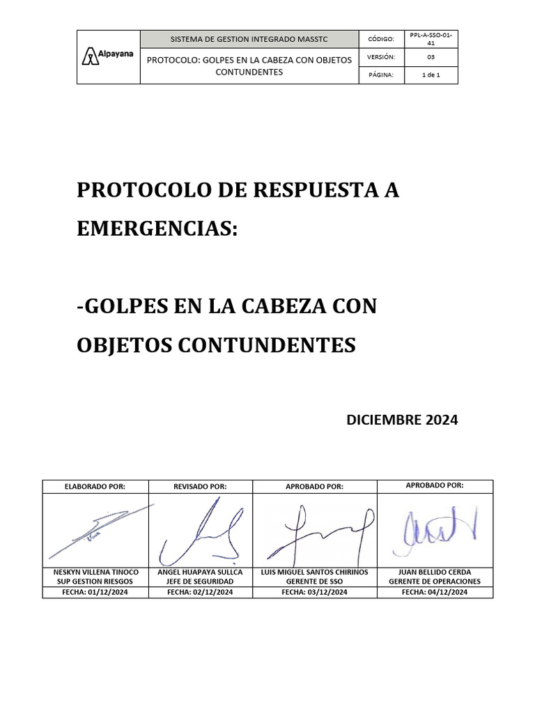 PPL-A-SSO-01-41 Protocolo Golpes en La Cabeza Con Objetos Contundentes ...