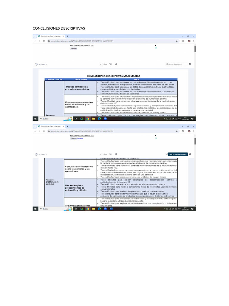Conclusiones Descriptivas | PDF