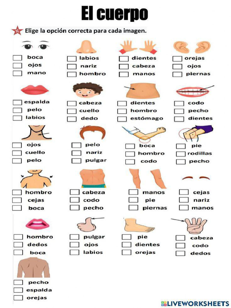 Ejercícios Partes Del Cuerpo | PDF