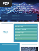 Biering-Sorenson Test - Physiopedia | PDF | Human Leg