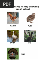 Mga Hayop Sa Ating Bansa | PDF