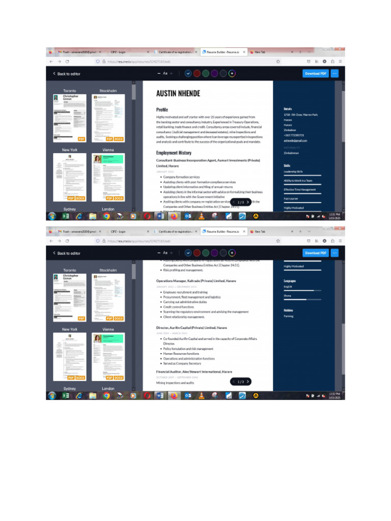CV Snippets | PDF