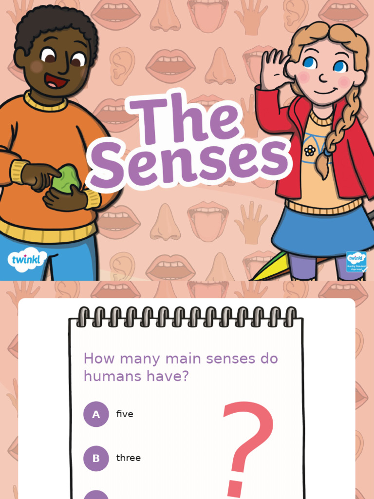 Quiz Five Senses | PDF