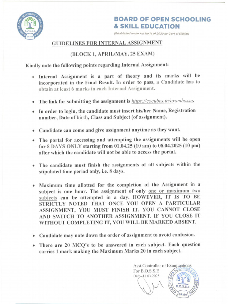Guidelines Regarding Internal Assignment April, 25 | PDF