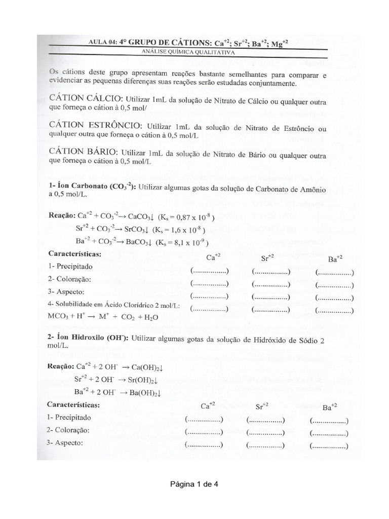 Cátions - Grupo 4 | PDF