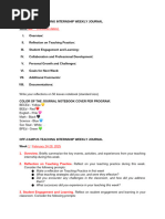 Intern Journal Template | PDF