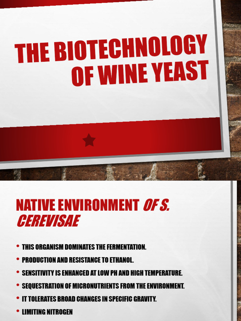 Genetic Engineering of Wine Yeast | PDF