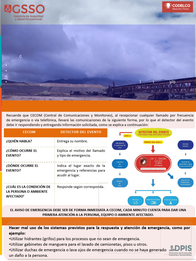 Protocolo de Emergencia DRT | PDF