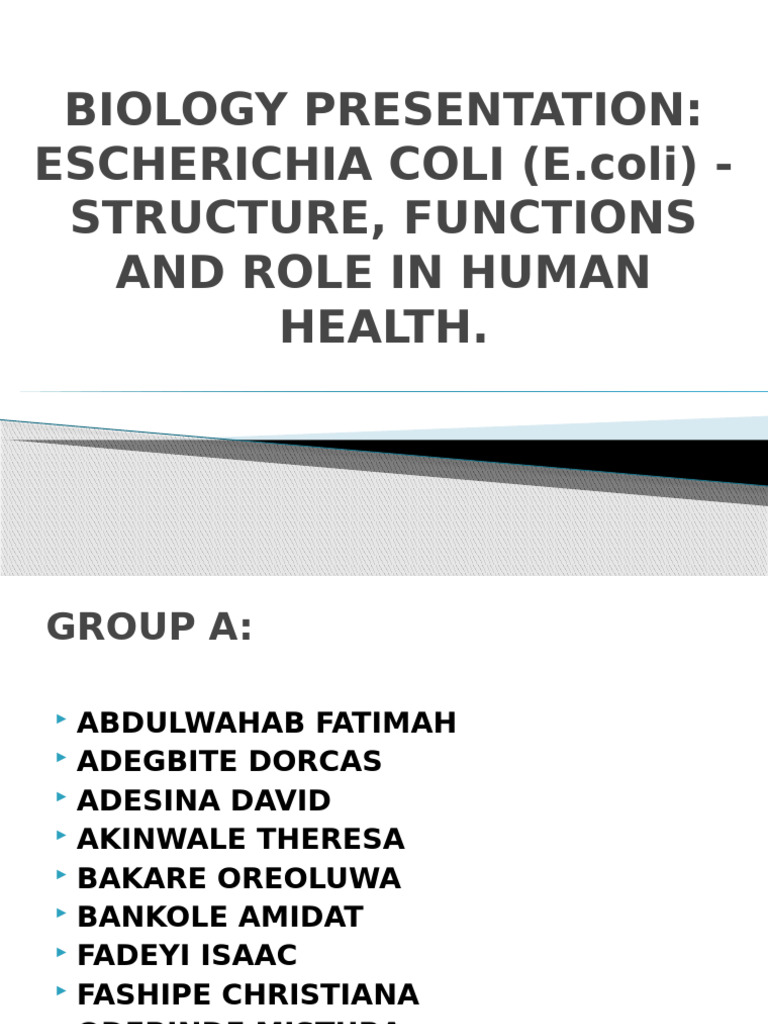 Biology Presentation | PDF | Escherichia Coli | Bacteria