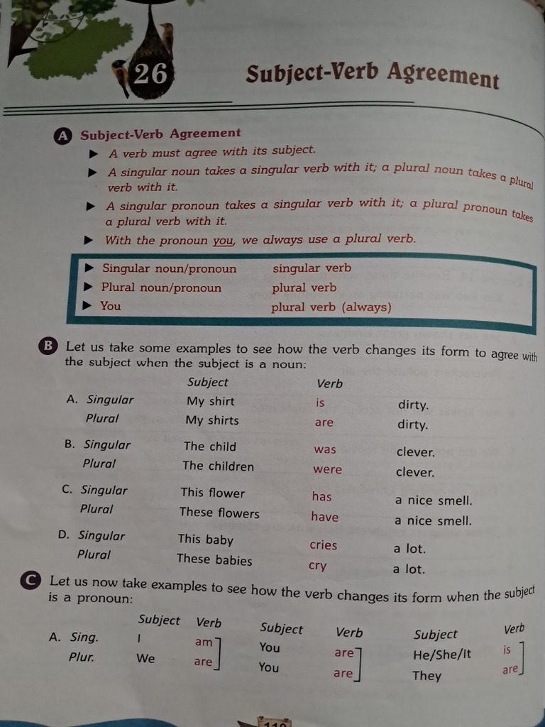 Subject-Verb Agreement Guide | PDF | Grammatical Number | Plural