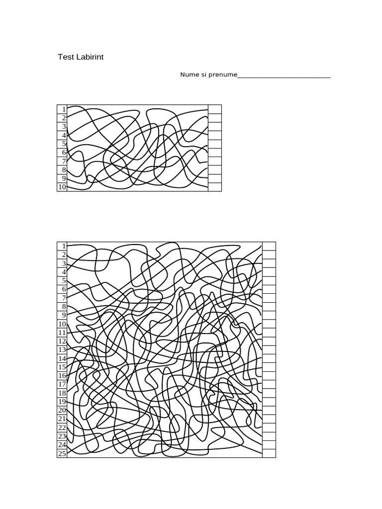 Foaie de Raspuns LABIRINT | PDF
