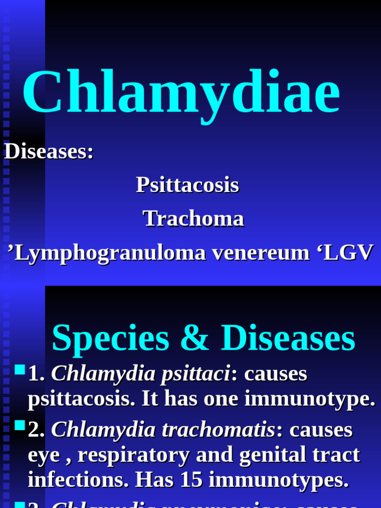 Chlamydiae: Diseases and Infections | PDF | Health Sciences | Diseases And Disorders