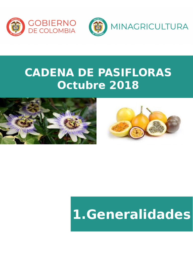 S3390-Pasifloras Octubre | PDF | Fruta