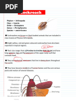 Cockroach Ncert | PDF