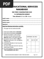 Primary Six Science End of Term III Exams | PDF | Plant Nursery