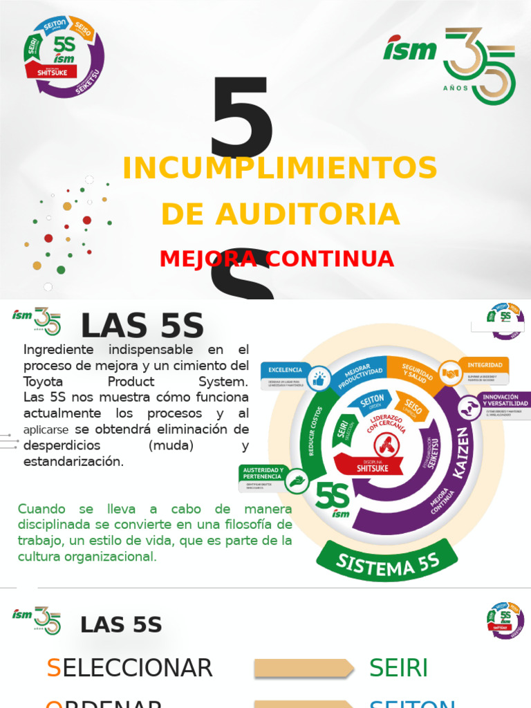 5s - Capacitacion Incumplimientos de Auditoria | PDF