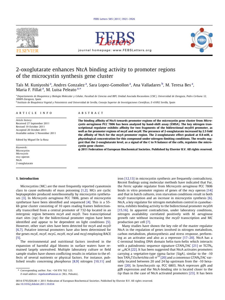 2-Oxoglutarate Enhances NtcA Binding Activity To Promoter Regions of ...
