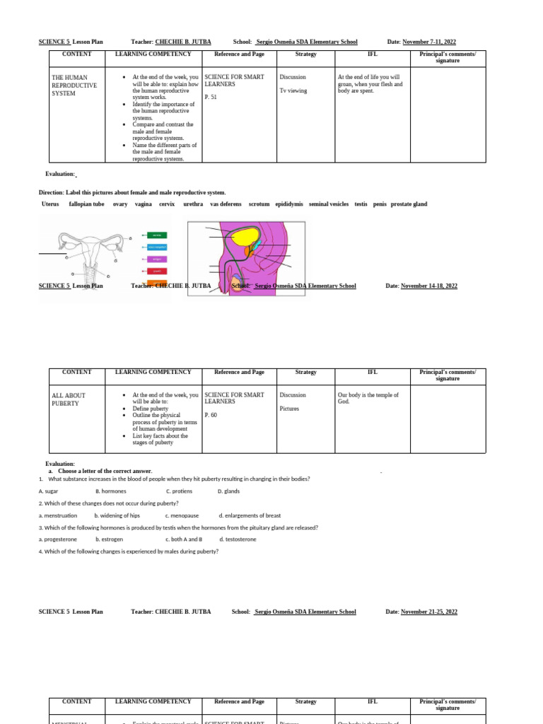 SCIENCE 1 Lesson Plan Teacher | PDF | Menstrual Cycle | Human Reproduction
