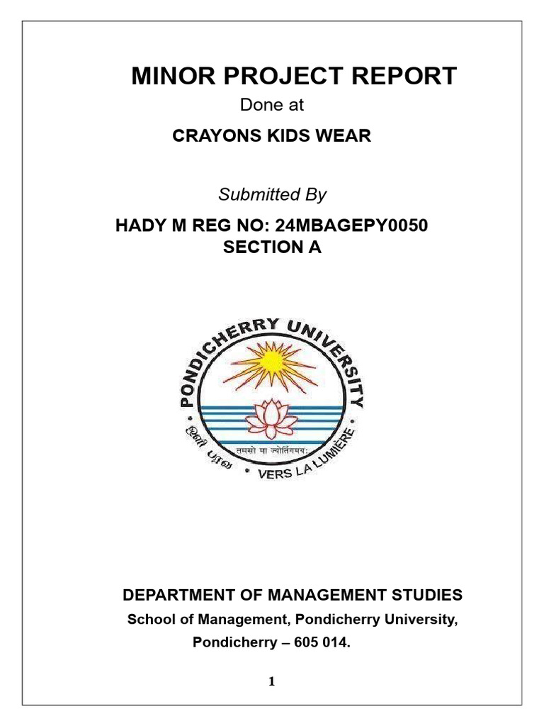 Minor Project Report Hady M | PDF | Sales | Entrepreneurship
