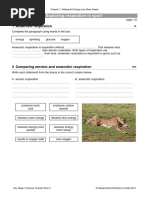 Grade 9 Photosynthesis | PDF | Leaf | Photosynthesis